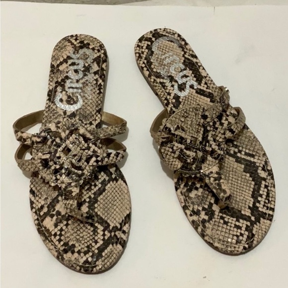 Circus by Sam Edelman | Shoes | Circus By Sam Edelman Snake Print ...